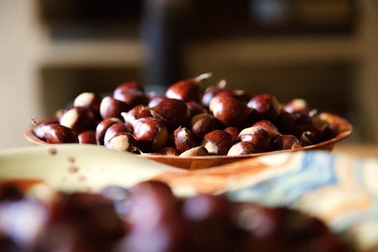 รูปภาพGranivore – เลือกดูภาพถ่ายสต็อก เวกเตอร์ และวิดีโอ2,308 | Adobe Stock