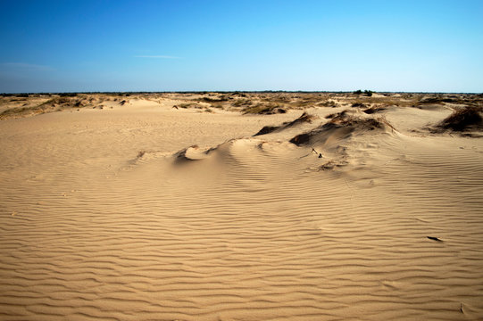 「Oleshky」の画像 - 174 件の Stock 写真、ベクターおよびビデオ | Adobe Stock