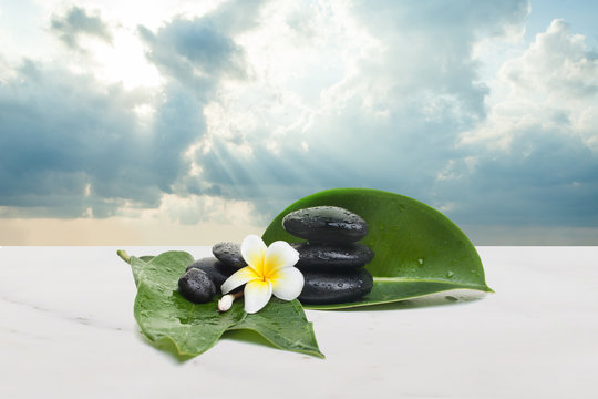 รูปภาพEllness – เลือกดูภาพถ่ายสต็อก เวกเตอร์ และวิดีโอ150 | Adobe Stock