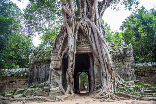 Devoured Images – Browse 73,344 Stock Photos, Vectors, and Video ...