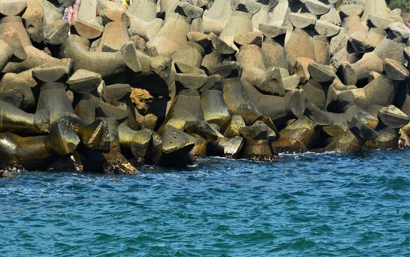 Imagens de Stabilopod – Explore Fotografias do Stock, Vetores e Vídeos ...
