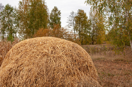 รูปภาพHaystack – เลือกดูภาพถ่ายสต็อก เวกเตอร์ และวิดีโอ114,888 | Adobe ...