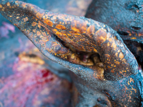 1,211 BEST Galitsin IMAGES, STOCK PHOTOS & VECTORS | Adobe Stock