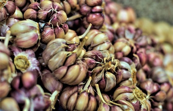 Alho Images – Browse 1,459 Stock Photos, Vectors, and Video | Adobe Stock