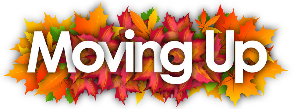 "Moving Up" Bilder – Durchsuchen 33,633 Archivfotos, Vektorgrafiken und ...