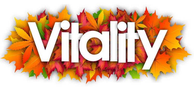 Vitality Images – Browse 1,046,002 Stock Photos, Vectors, and Video ...