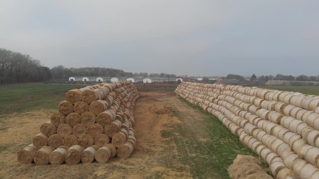 Stook Images – Browse 222 Stock Photos, Vectors, and Video | Adobe Stock