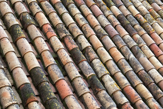 Tegula Billeder – Gennemse 165 stockfotos, vektorer og videoer | Adobe ...