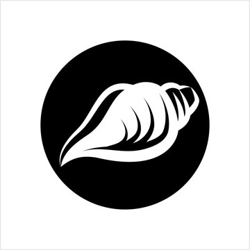 Shankh Images – Browse 476 Stock Photos, Vectors, and Video | Adobe Stock