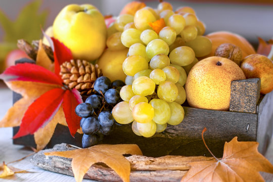 Frut Bilder – Durchsuchen 771 Archivfotos, Vektorgrafiken und Videos ...