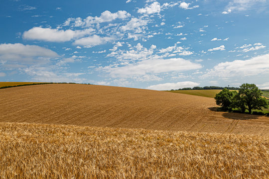 Farmlands Images – Browse 1,337,281 Stock Photos, Vectors, and Video ...