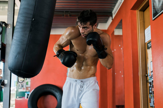 Obrázky Boxe – procházejte fotografie, vektory a videa 1,034,615 ...