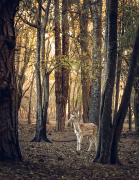 ViewBug photos, images, assets | Adobe Stock