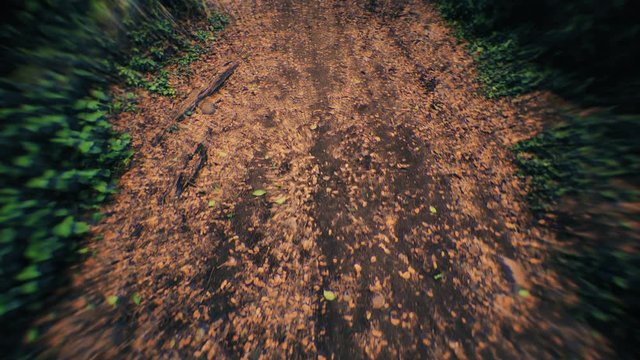 Stumbling Images – Browse 112 Stock Photos, Vectors, and Video | Adobe ...