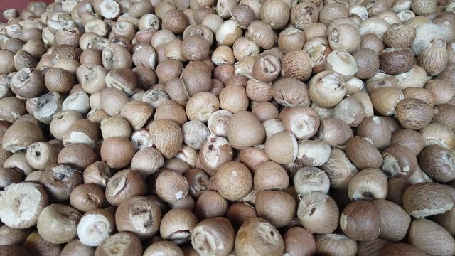 "Betel Nut" Images – Browse 18,001 Stock Photos, Vectors, and Video ...