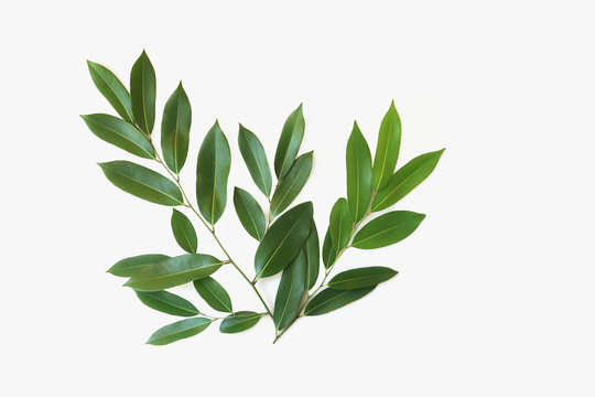 รูปภาพRumdul – เลือกดูภาพถ่ายสต็อก เวกเตอร์ และวิดีโอ388 | Adobe Stock