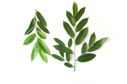 รูปภาพRumdul – เลือกดูภาพถ่ายสต็อก เวกเตอร์ และวิดีโอ388 | Adobe Stock