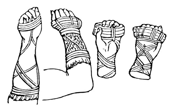 Cestus Images – Browse 50 Stock Photos, Vectors, and Video | Adobe Stock