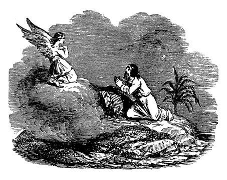 รูปภาพCornelius – เลือกดูภาพถ่ายสต็อก เวกเตอร์ และวิดีโอ454 | Adobe Stock