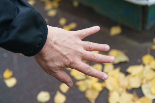 รูปภาพNegate – เลือกดูภาพถ่ายสต็อก เวกเตอร์ และวิดีโอ15,309 | Adobe Stock