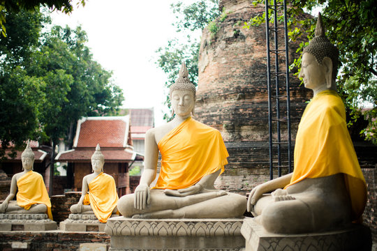 Sanghati bilder – Bläddra bland 3,084 stockfoton, vektorer och videor ...