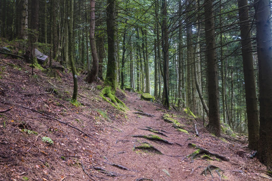 E2 Bilder – Durchsuchen 664 Archivfotos, Vektorgrafiken und Videos ...