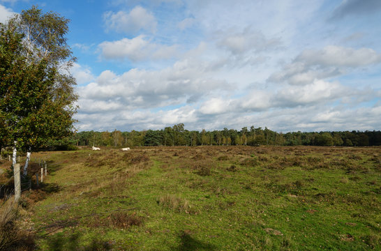 Stulp Bilder – Durchsuchen 58 Archivfotos, Vektorgrafiken und Videos ...