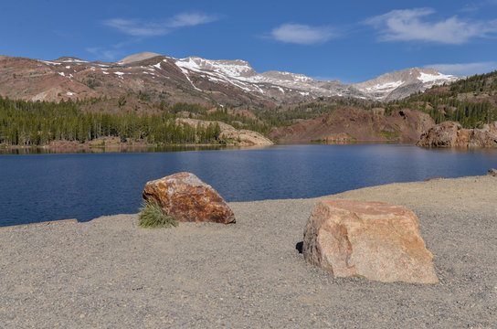 「Ellery」の画像 - 440 件の Stock 写真、ベクターおよびビデオ | Adobe Stock