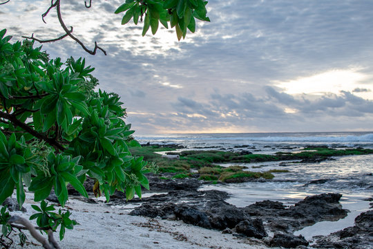 "Eua Island" Images – Browse 42 Stock Photos, Vectors, and Video ...