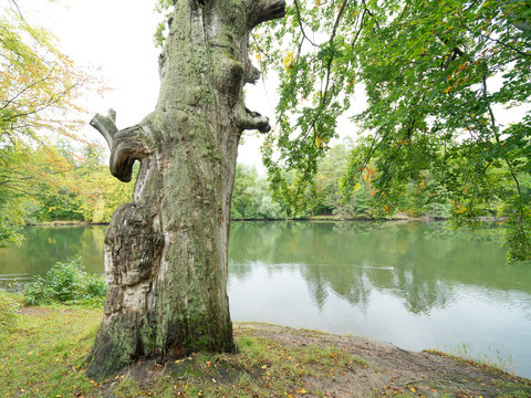 Pfaffe Bilder – Durchsuchen 2,168 Archivfotos, Vektorgrafiken und ...