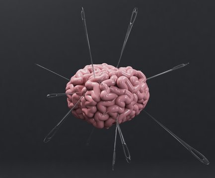 รูปภาพPummel – เลือกดูภาพถ่ายสต็อก เวกเตอร์ และวิดีโอ290 | Adobe Stock