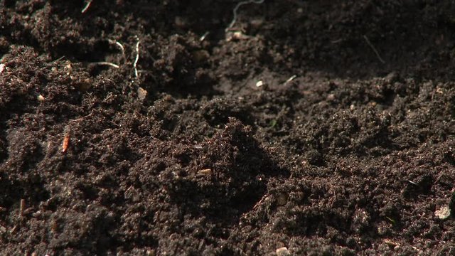 Topsoil 影像 – 瀏覽 7,835 個素材庫相片、向量圖和影片 | Adobe Stock