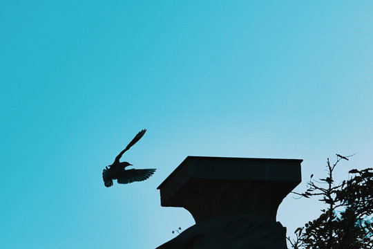 รูปภาพNanggol – เลือกดูภาพถ่ายสต็อก เวกเตอร์ และวิดีโอ94 | Adobe Stock