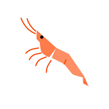 "Abstract Shrimp" Images – Browse 196 Stock Photos, Vectors, and Video ...