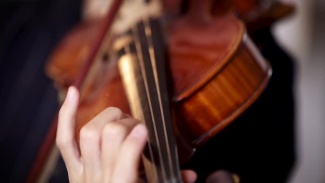 Viola Video Footage – Browse 9,294 HD Stock Video and Footage | Adobe Stock