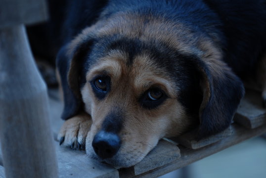 Ralph Petty photos, images, assets | Adobe Stock