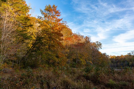 Wildernes Bilder – Durchsuchen 2,349 Archivfotos, Vektorgrafiken und ...