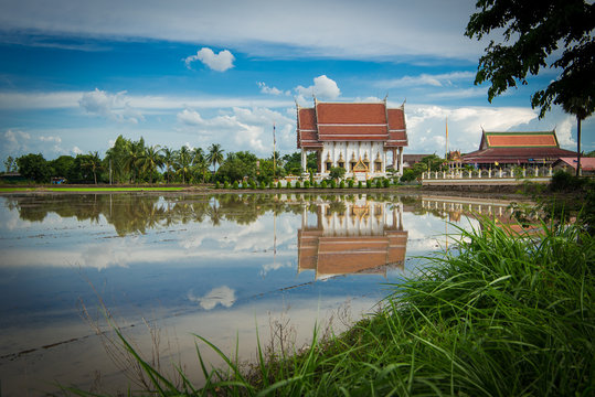 Suphanburi bilder – Bläddra bland 2,058 stockfoton, vektorer och videor ...