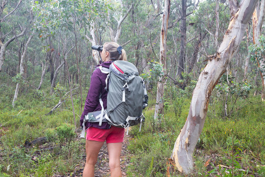 รูปภาพBushwalking – เลือกดูภาพถ่ายสต็อก เวกเตอร์ และวิดีโอ2,846 | Adobe ...