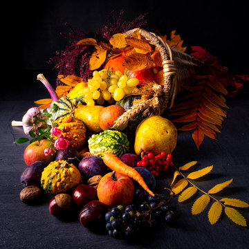 Cornocopia Bilder – Durchsuchen 107 Archivfotos, Vektorgrafiken und ...