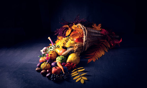 Cornocopia Bilder – Durchsuchen 110 Archivfotos, Vektorgrafiken und ...