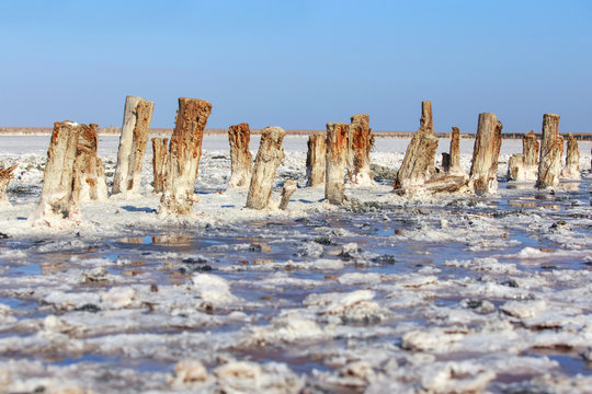 รูปภาพSalt-Pan – เลือกดูภาพถ่ายสต็อก เวกเตอร์ และวิดีโอ441 | Adobe Stock