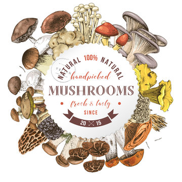 รูปภาพType*Mushrooms – เลือกดูภาพถ่ายสต็อก เวกเตอร์ และวิดีโอ5,779 ...