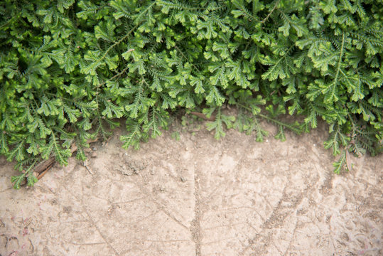 Cemet Images – Browse 107 Stock Photos, Vectors, and Video | Adobe Stock