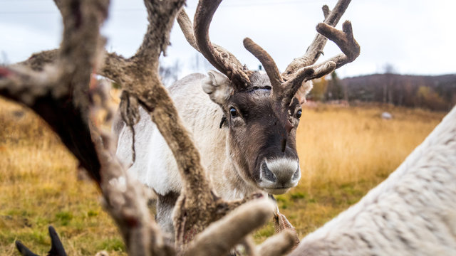 รูปภาพRentier – เลือกดูภาพถ่ายสต็อก เวกเตอร์ และวิดีโอ28,739 | Adobe Stock