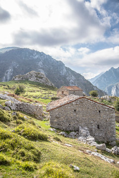 Camba Images – Browse 43 Stock Photos, Vectors, and Video | Adobe Stock