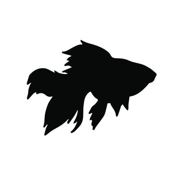 Goldfish Silhouette Vector