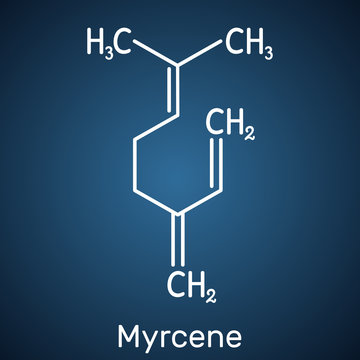 รูปภาพMyrcene – เลือกดูภาพถ่ายสต็อก เวกเตอร์ และวิดีโอ330 | Adobe Stock