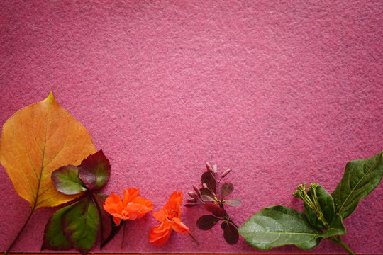 Fon Зображення — огляд 69,374 Стокові фото, векторні зображення й відео ...