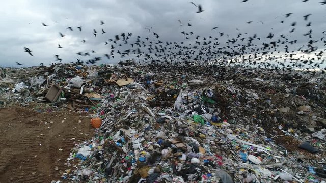 Cesspit Images – Browse 1,783 Stock Photos, Vectors, and Video | Adobe ...